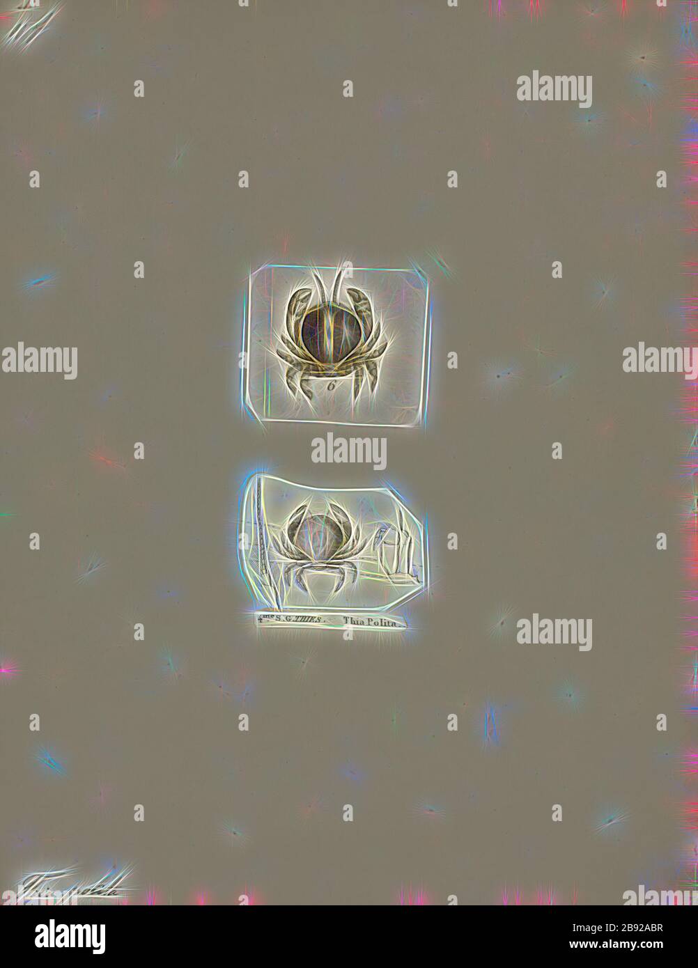 Human thumbnail hi-res stock photography and images - Alamy