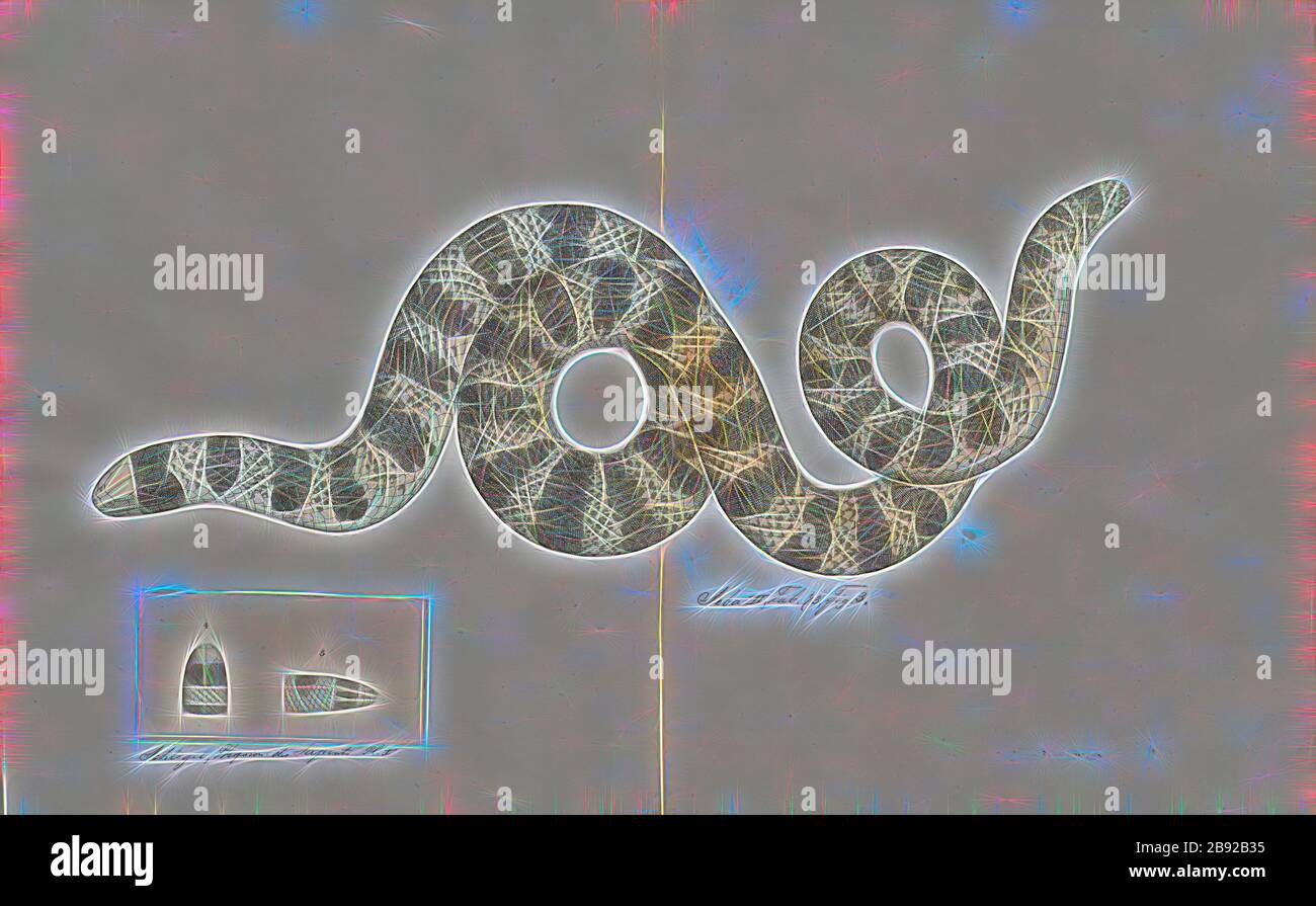 American pipe snake anilius scytale hi-res stock photography and images ...