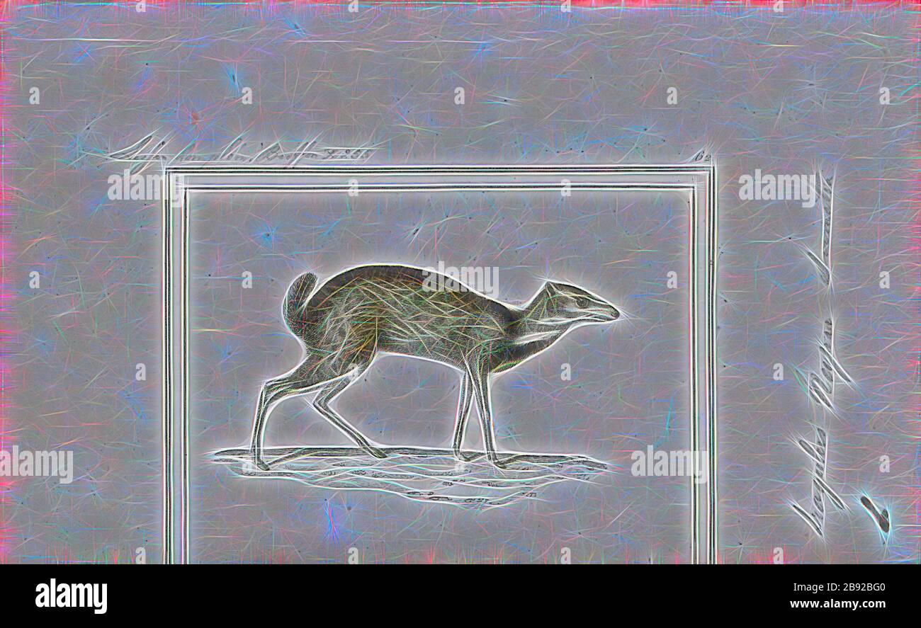 Deer of myanmar hi-res stock photography and images - Alamy