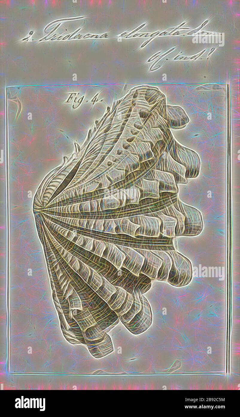 Coloured glowing shells hi-res stock photography and images - Alamy