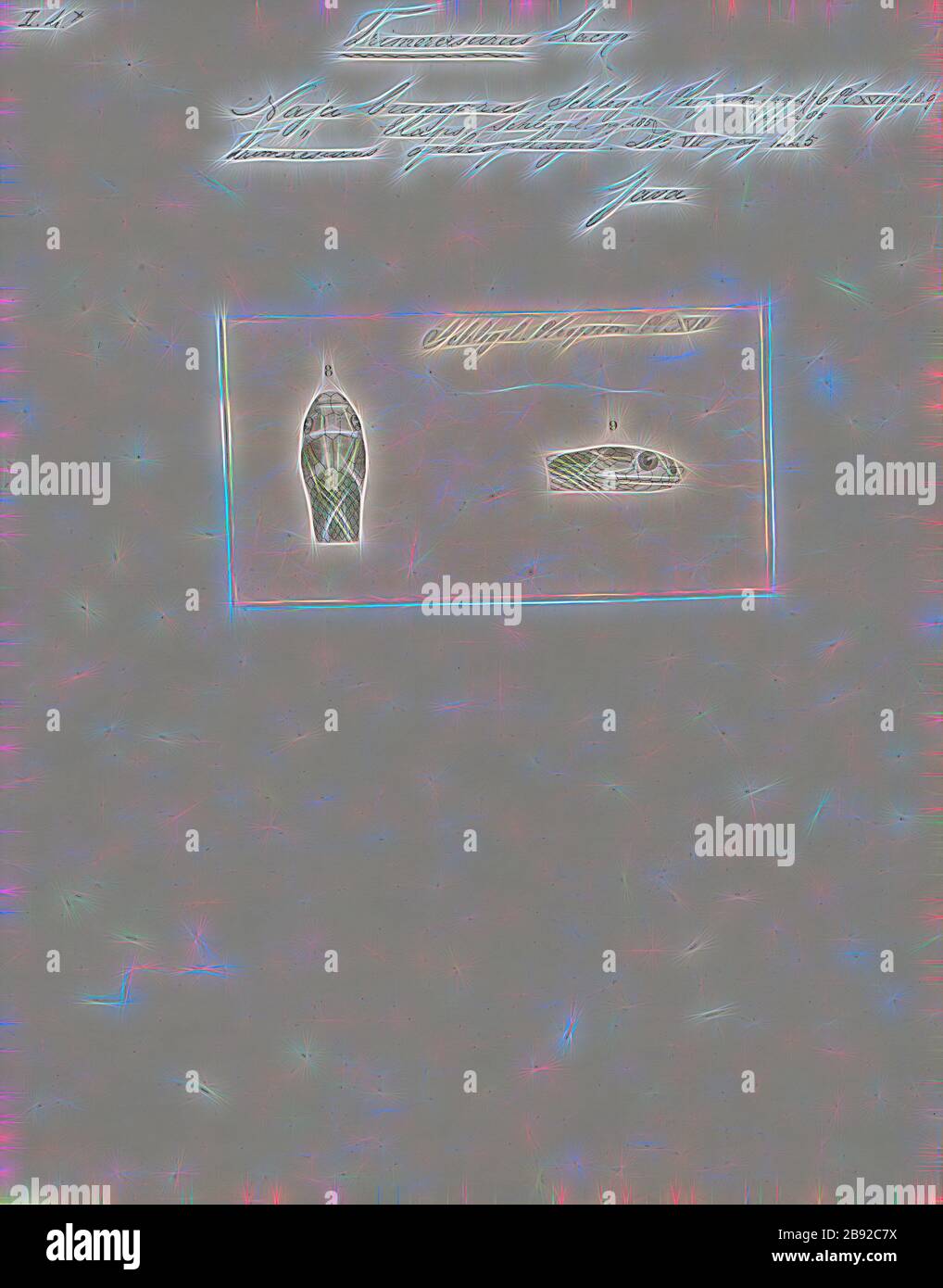 Asian lanceheads hi-res stock photography and images - Alamy