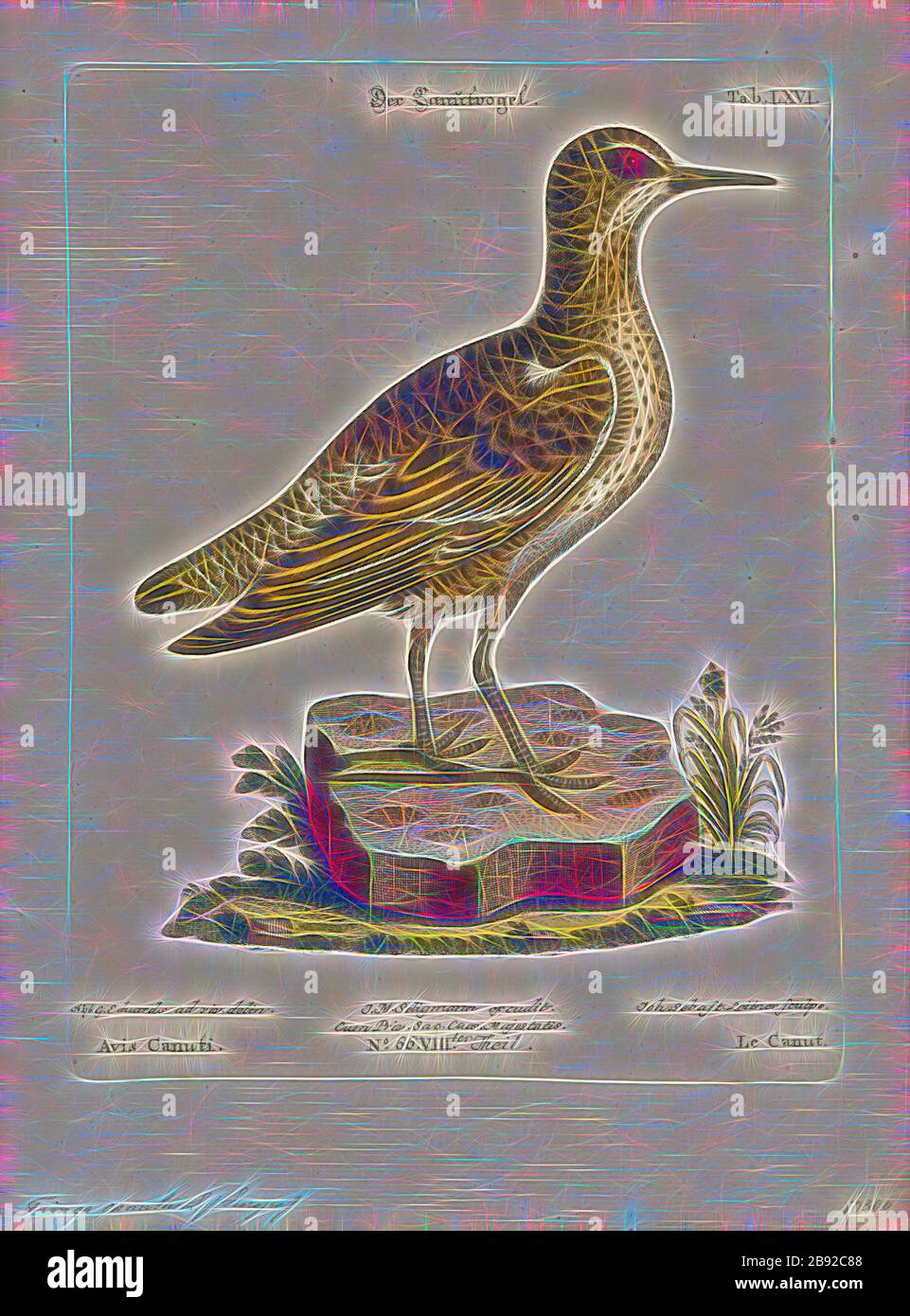 Cordillera canada hi-res stock photography and images - Alamy