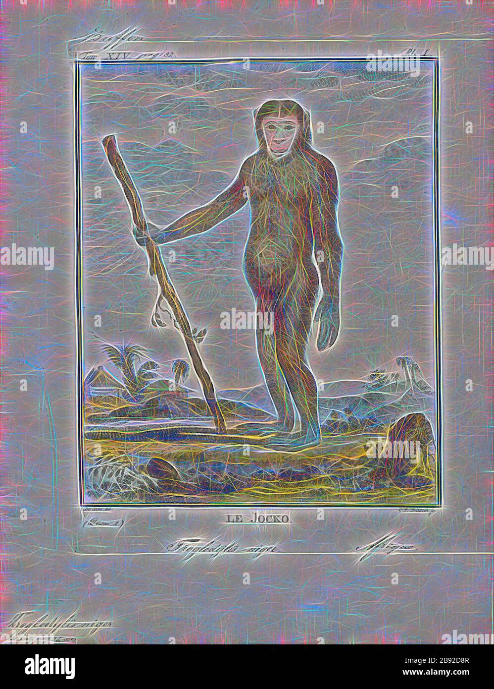 Troglodytes niger hi-res stock photography and images - Alamy