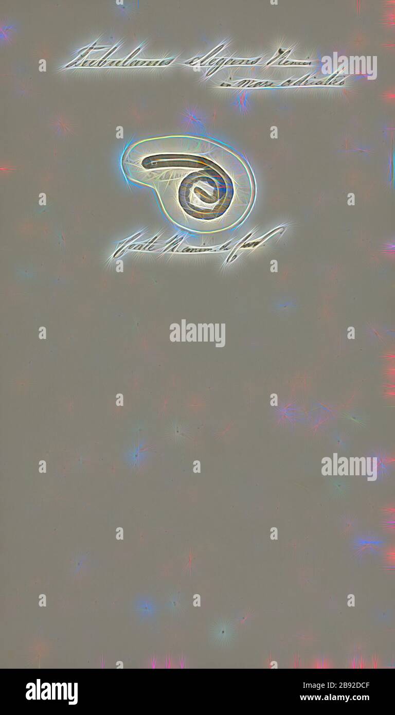 Tubulanus elegans, Print, Tubulanus is a genus of primitive nemertean ...