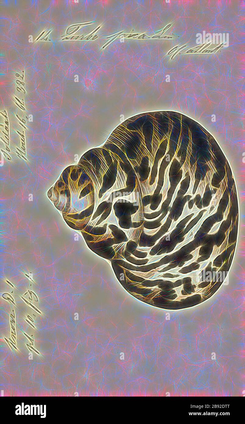 Pica turbo hi-res stock photography and images - Alamy