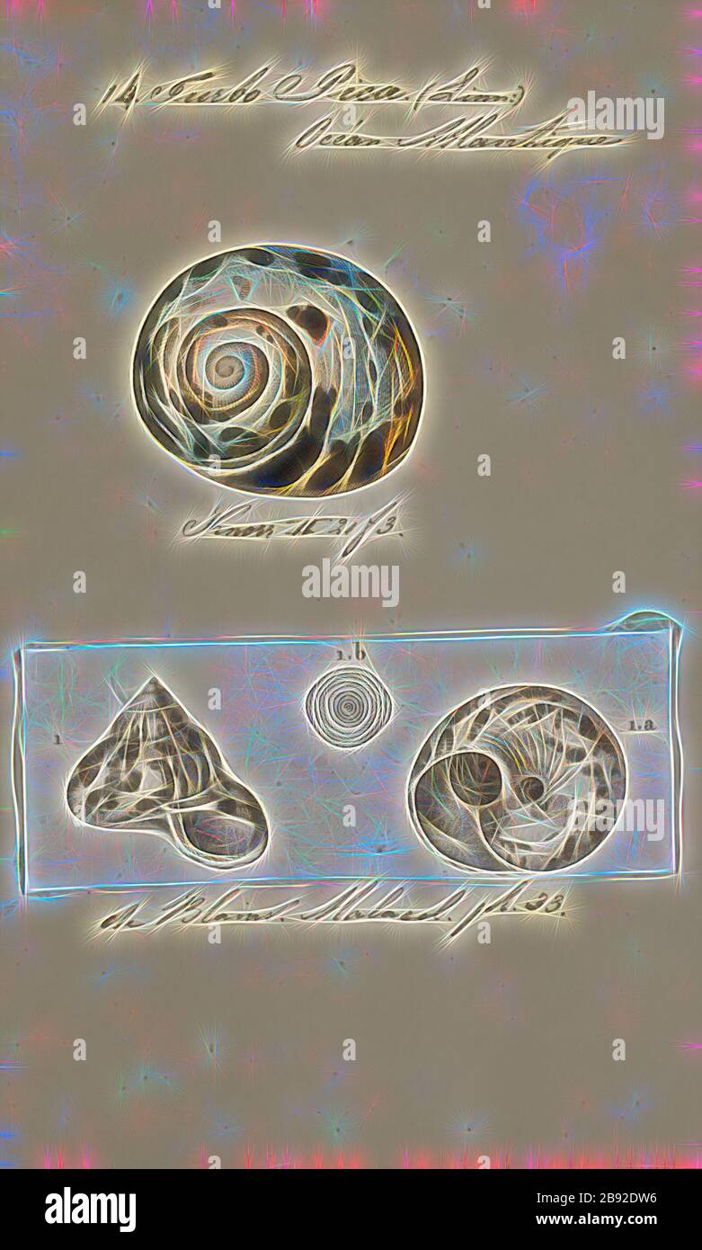 Pica turbo hi-res stock photography and images - Alamy