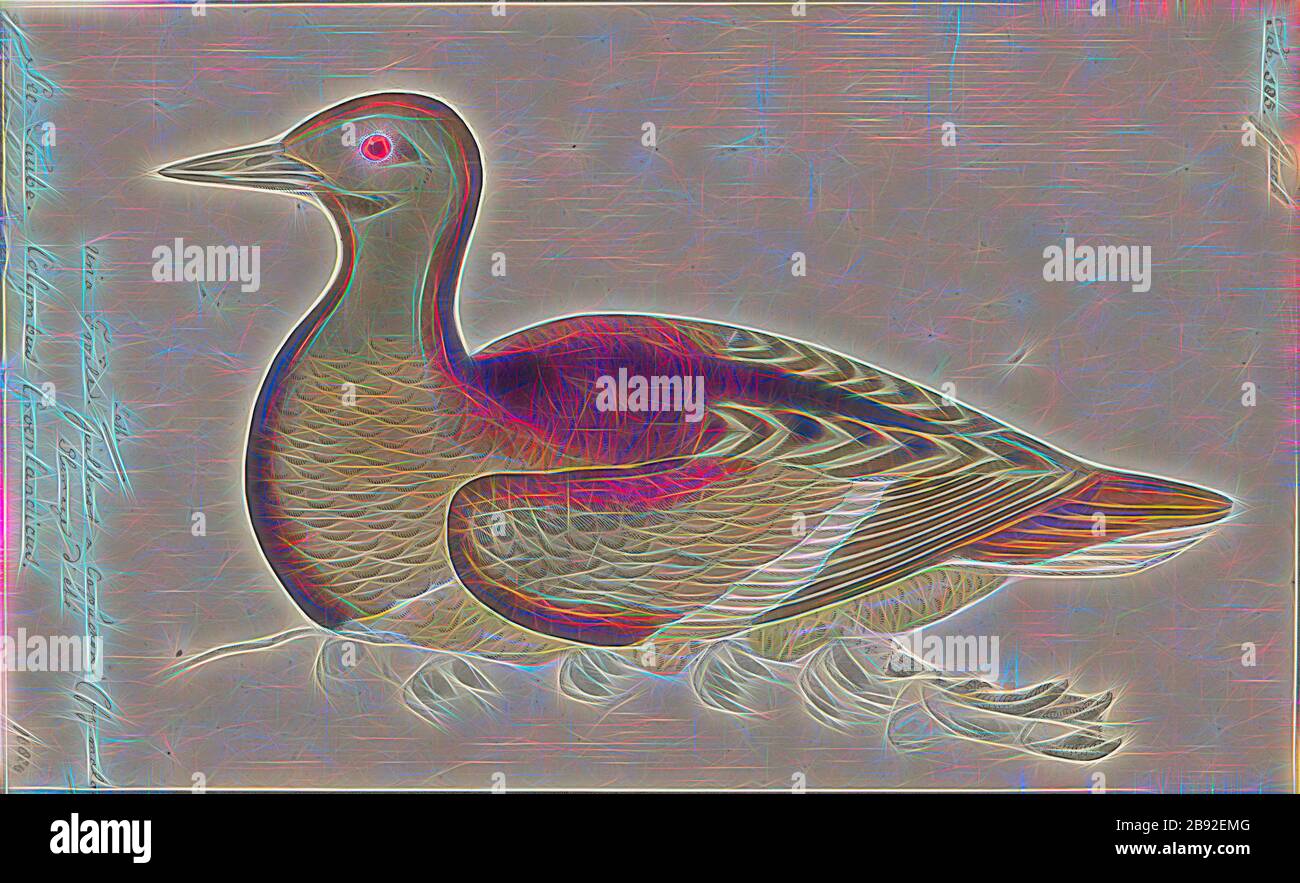 Uria troile hi-res stock photography and images - Alamy