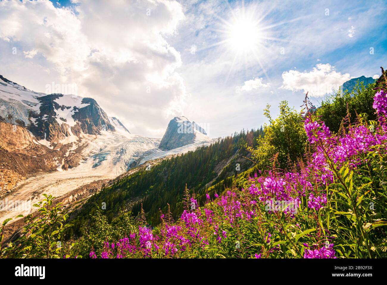 Bugaboo provincial park hi-res stock photography and images - Alamy