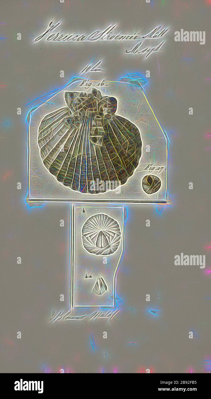 Verruca stroemii, Print, Reimagined by Gibon, design of warm cheerful ...