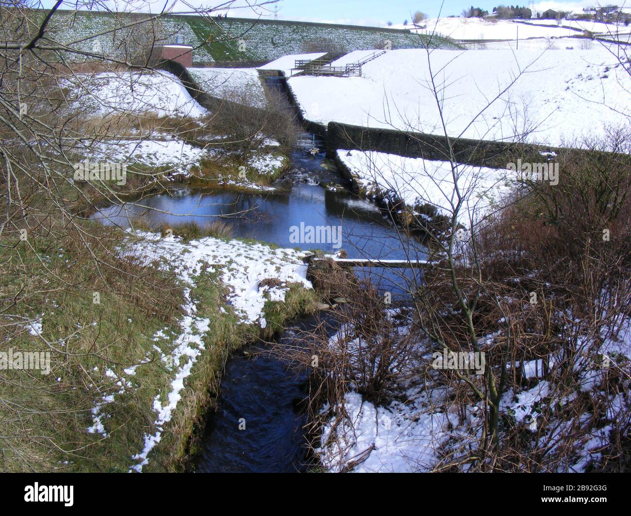 P hogg hi-res stock photography and images - Alamy