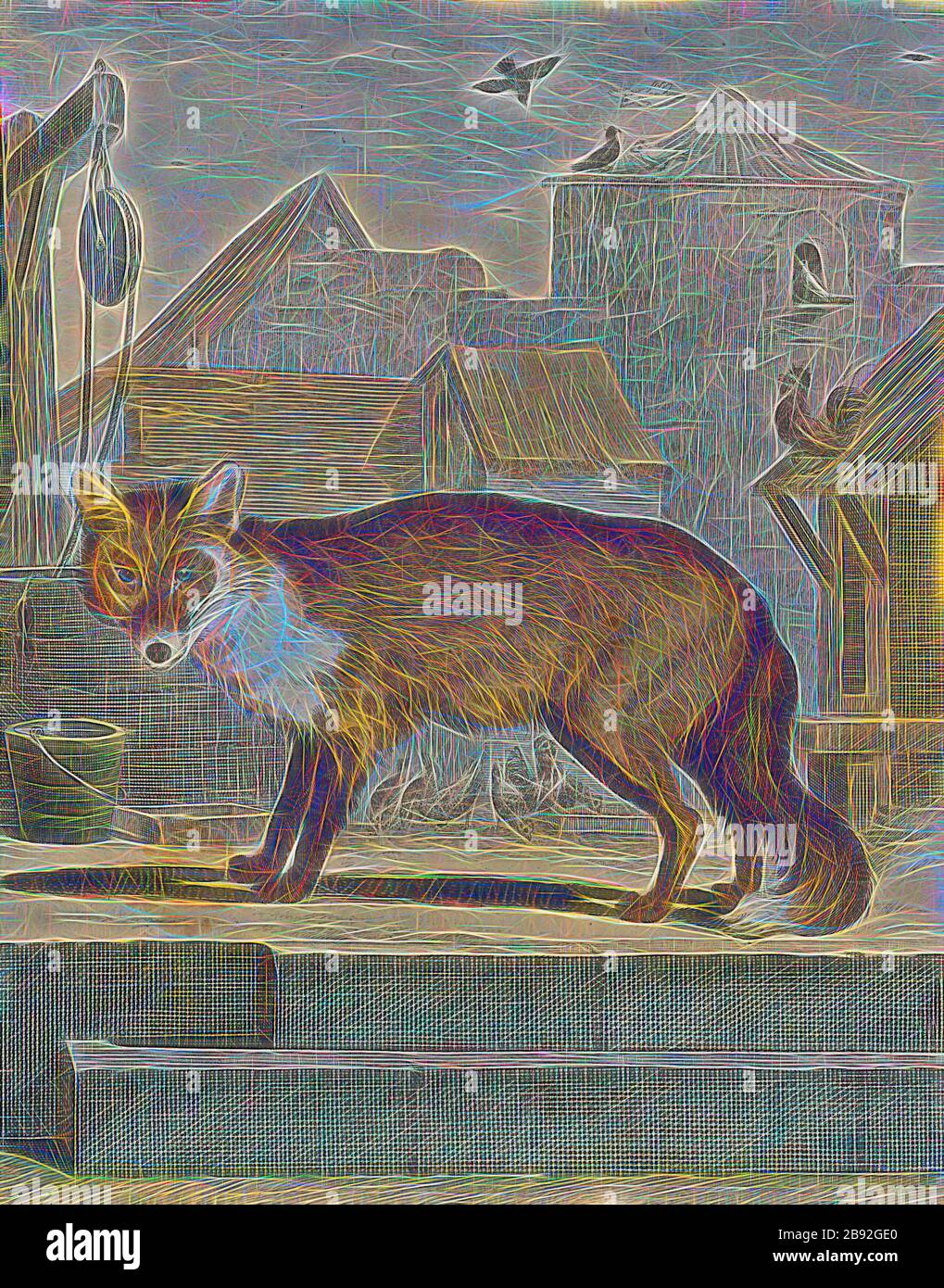 Vulpes vulgaris, Print, Vulpes is a genus of the Canidae. The members ...