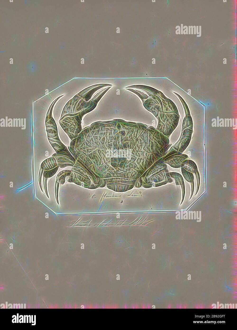 Containing five extant species hi-res stock photography and images - Alamy