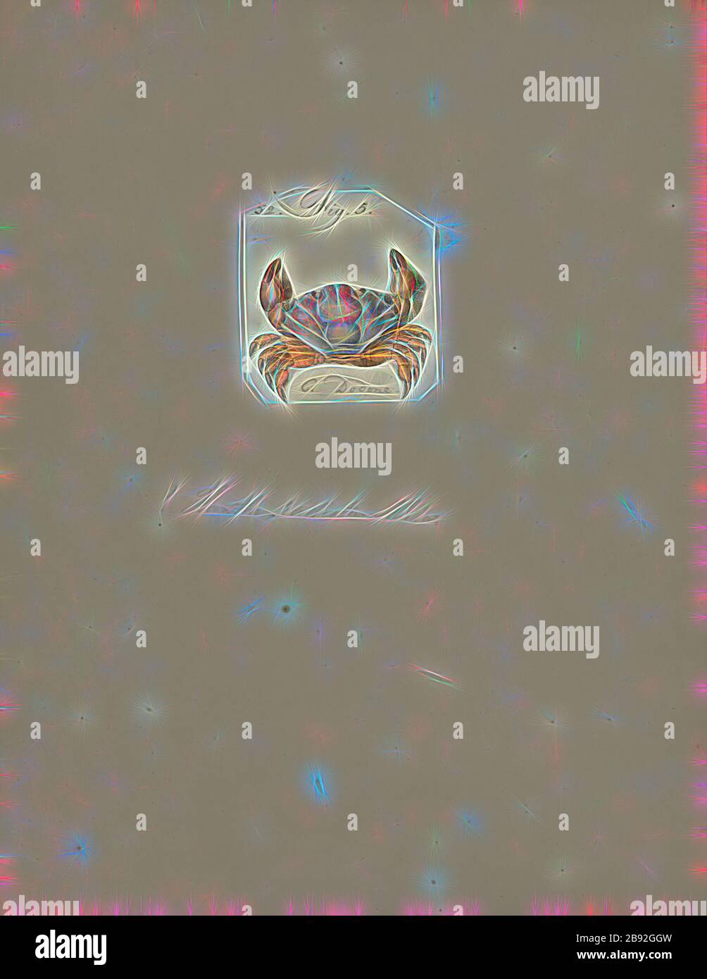 Xantho radiatus hi-res stock photography and images - Alamy