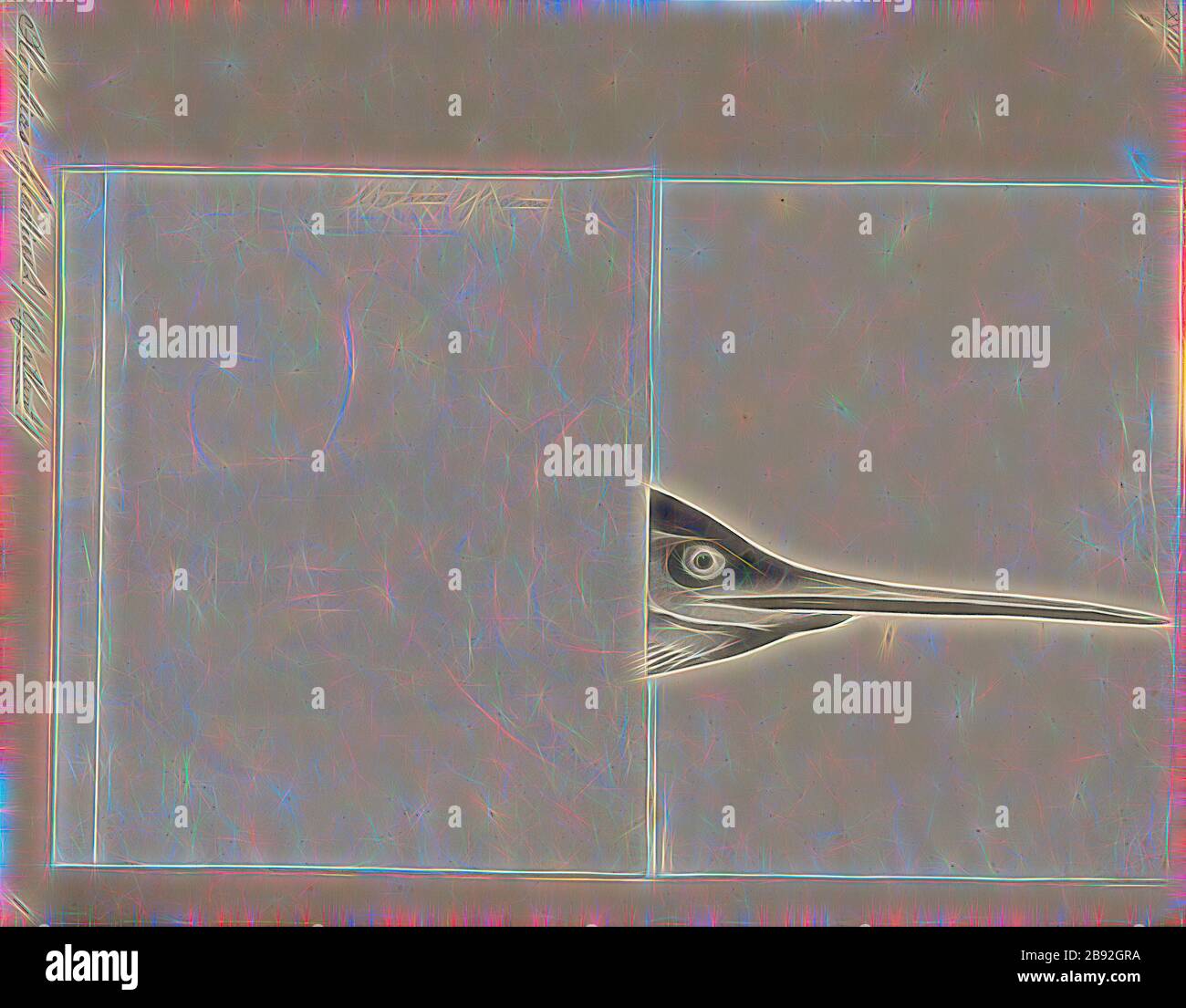 Xiphias gladius, Print, Swordfish (Xiphias gladius), also known as ...