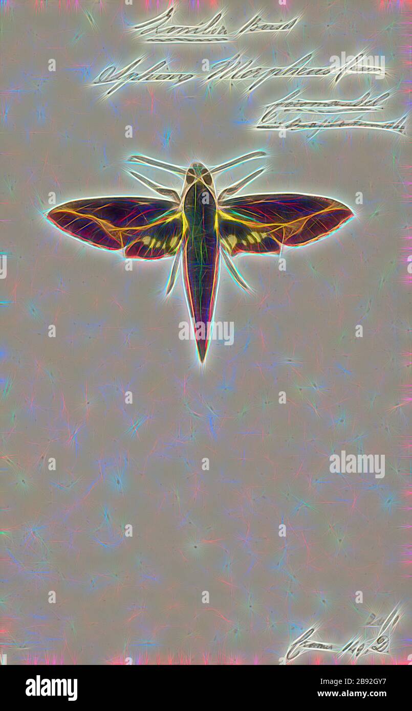 Zonilia hi-res stock photography and images - Alamy