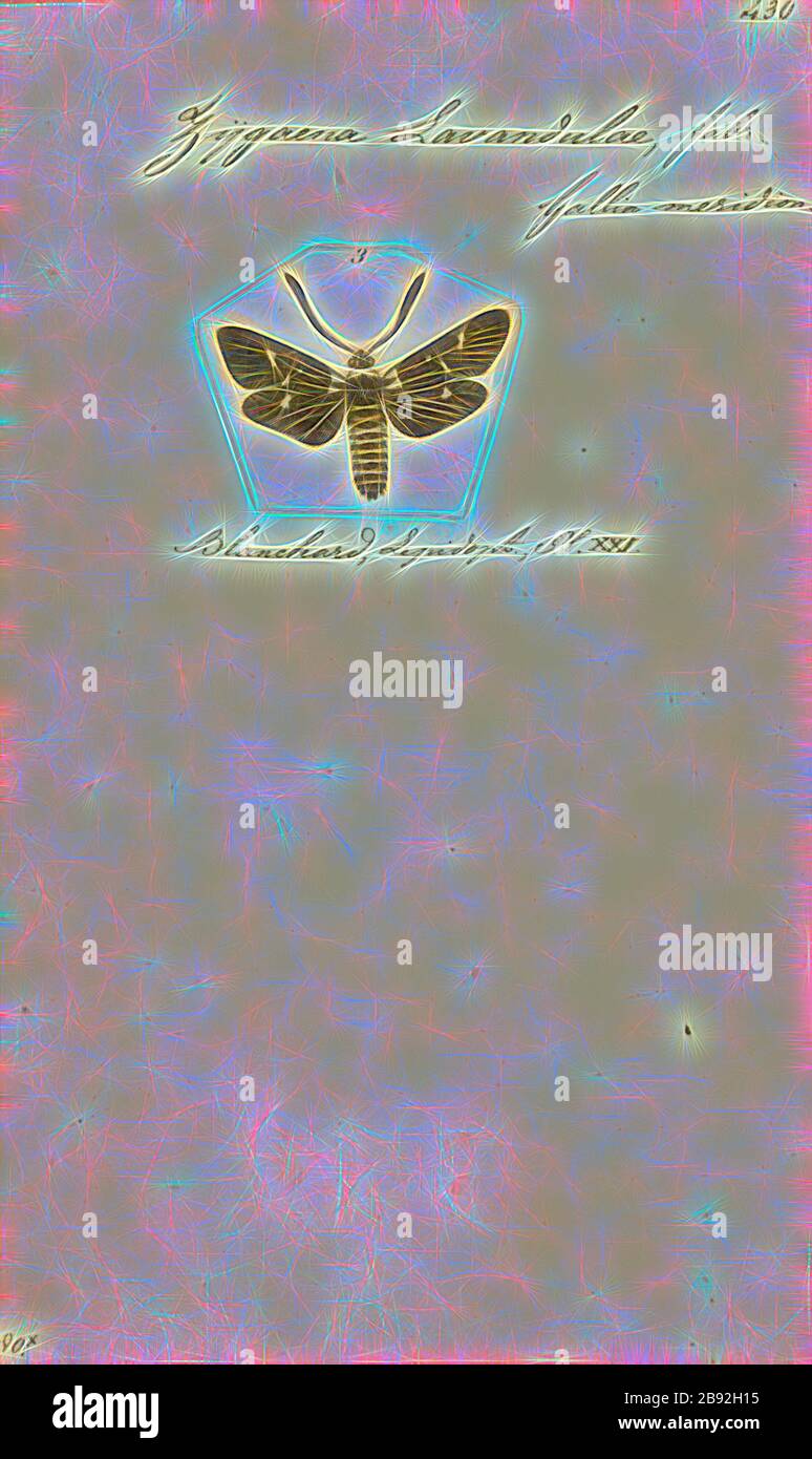 Day flying moths hi-res stock photography and images - Alamy