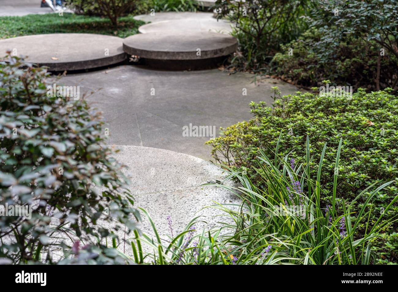 Round Concrete Steps in the Small Garden. Pathway Between Bushes ...