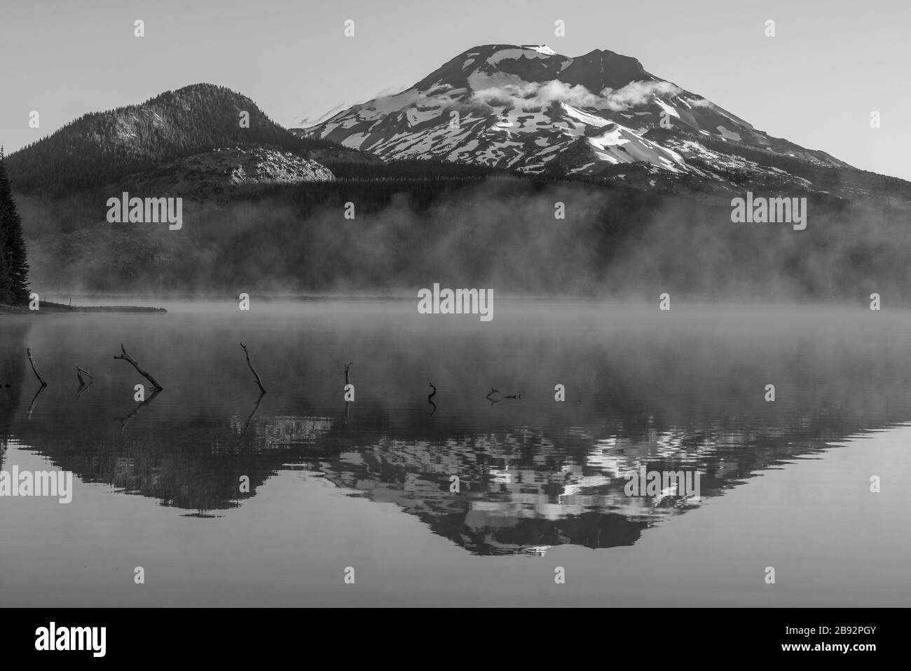 Summer park lake in Black and White Stock Photos & Images - Alamy