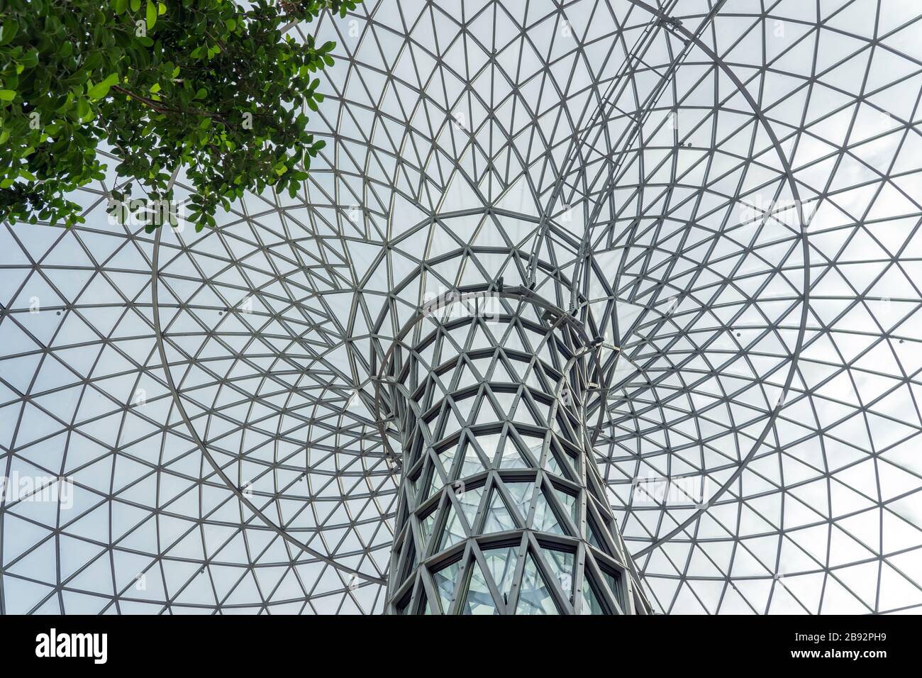 Dome shaped tree hi-res stock photography and images - Alamy