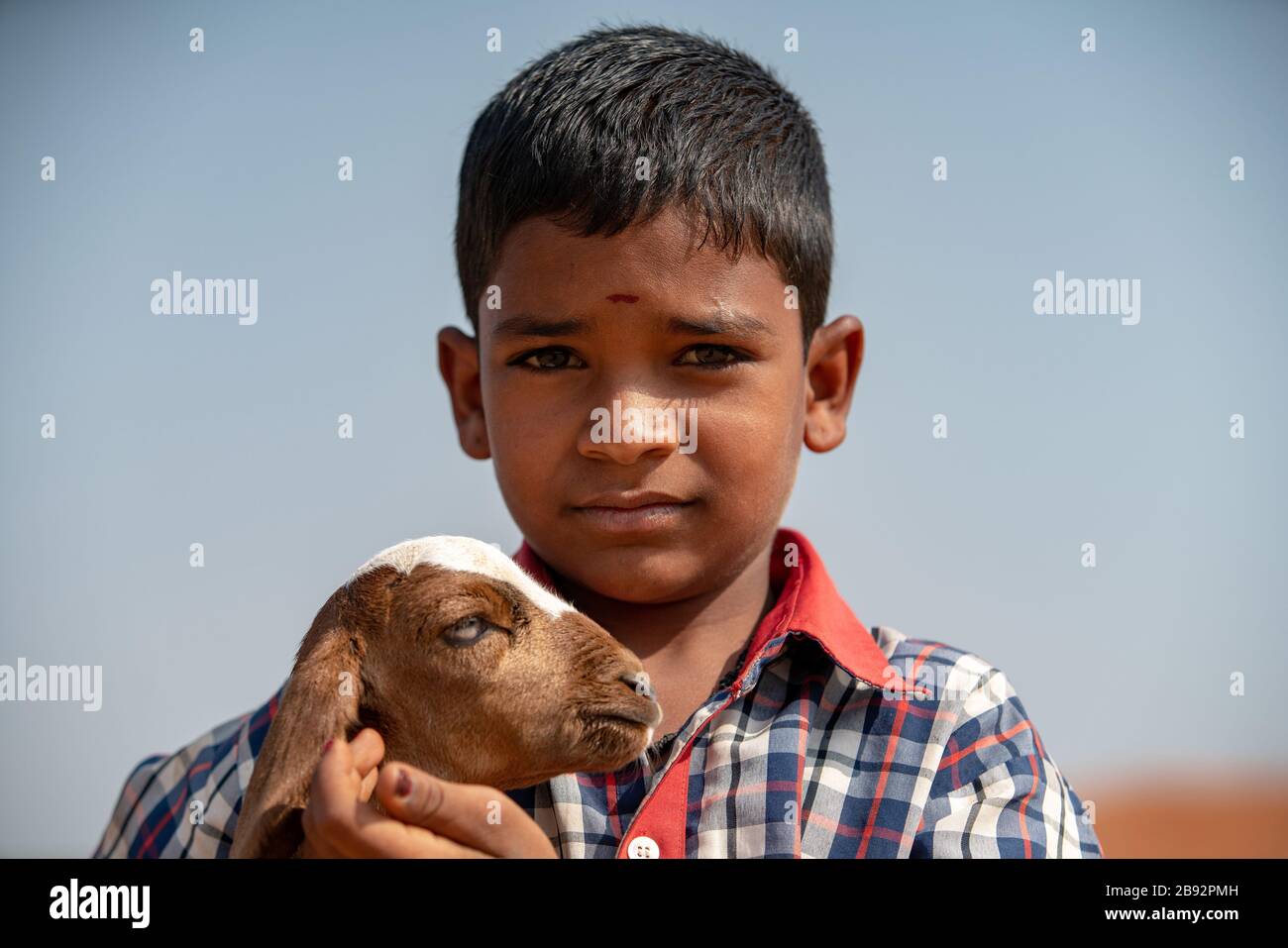Boy with goat india hi-res stock photography and images - Alamy
