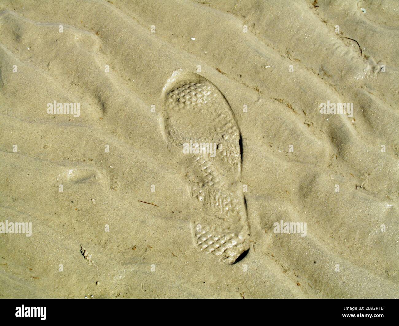 Low tide print of a shoe in the wet sand Stock Photo - Alamy