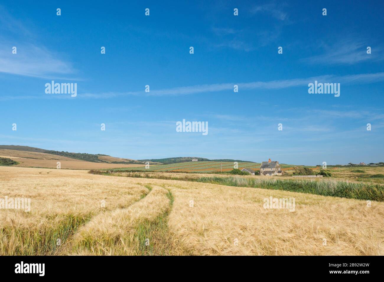 Country life scenery with a path leading into a field to a house in the ...