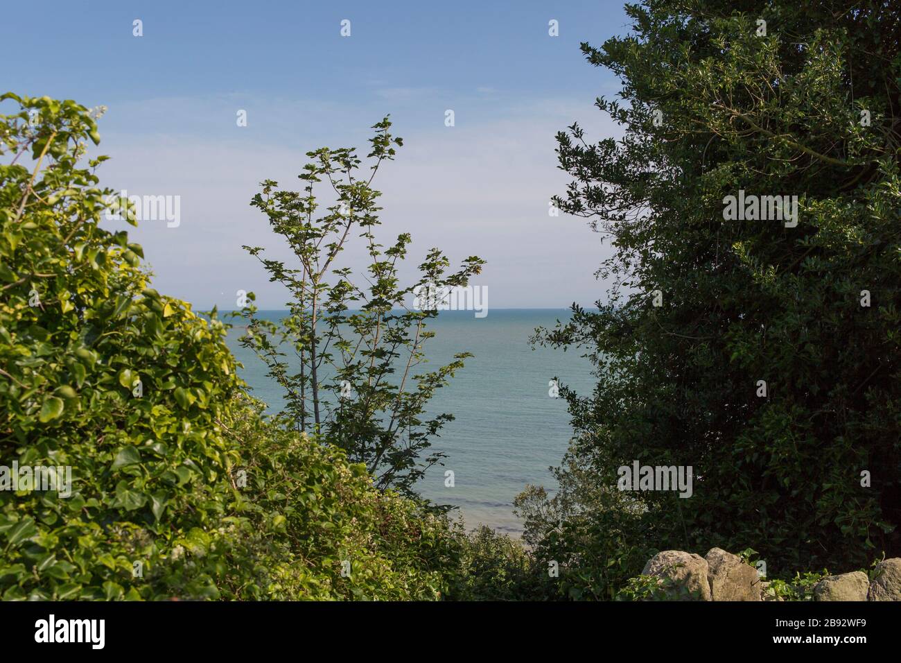 Green Trees With The Sea In The Background Stock Photo - Alamy