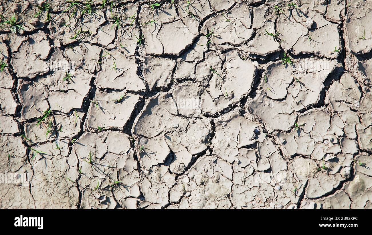 Natural texture background of dry earth Stock Photo - Alamy
