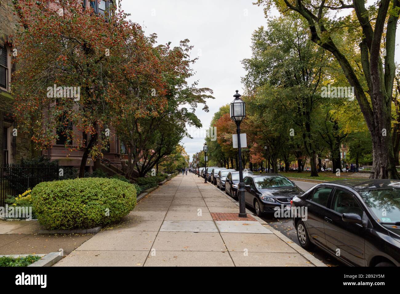 Colors of Autumn in Boston, Massachusetts Stock Photo - Alamy