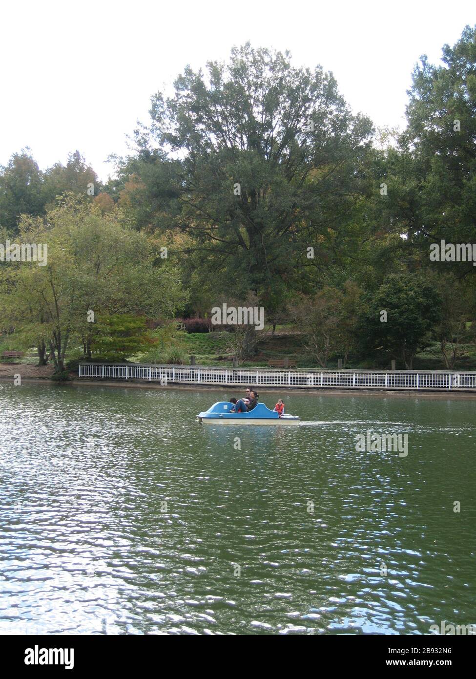 Alexandra fox hi-res stock photography and images - Alamy