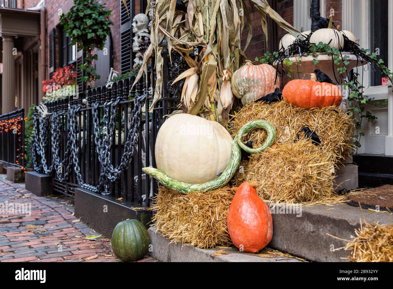 Colors of Autumn in Boston, Massachusetts Stock Photo - Alamy