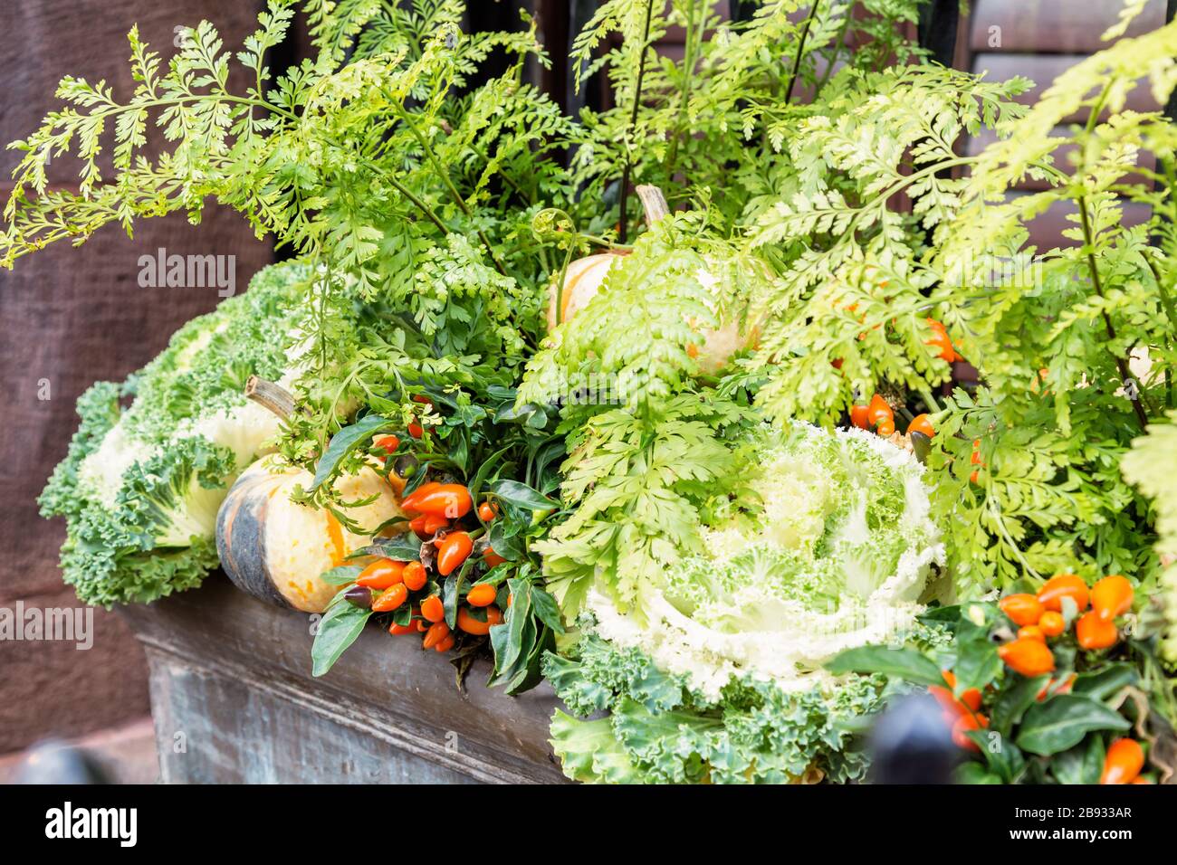 Colors of Autumn in Boston, Massachusetts Stock Photo - Alamy