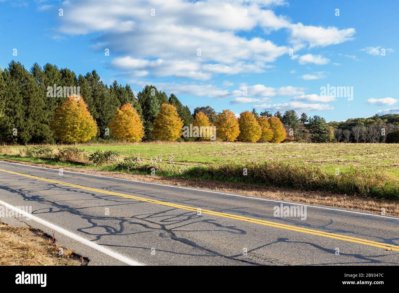 A Beautiful Fall Afternoon in Massachusetts Stock Photo - Alamy