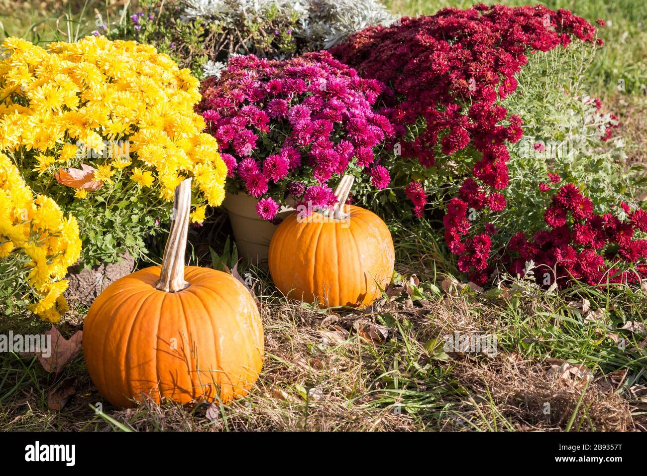 A Beautiful Fall Afternoon in Massachusetts Stock Photo - Alamy