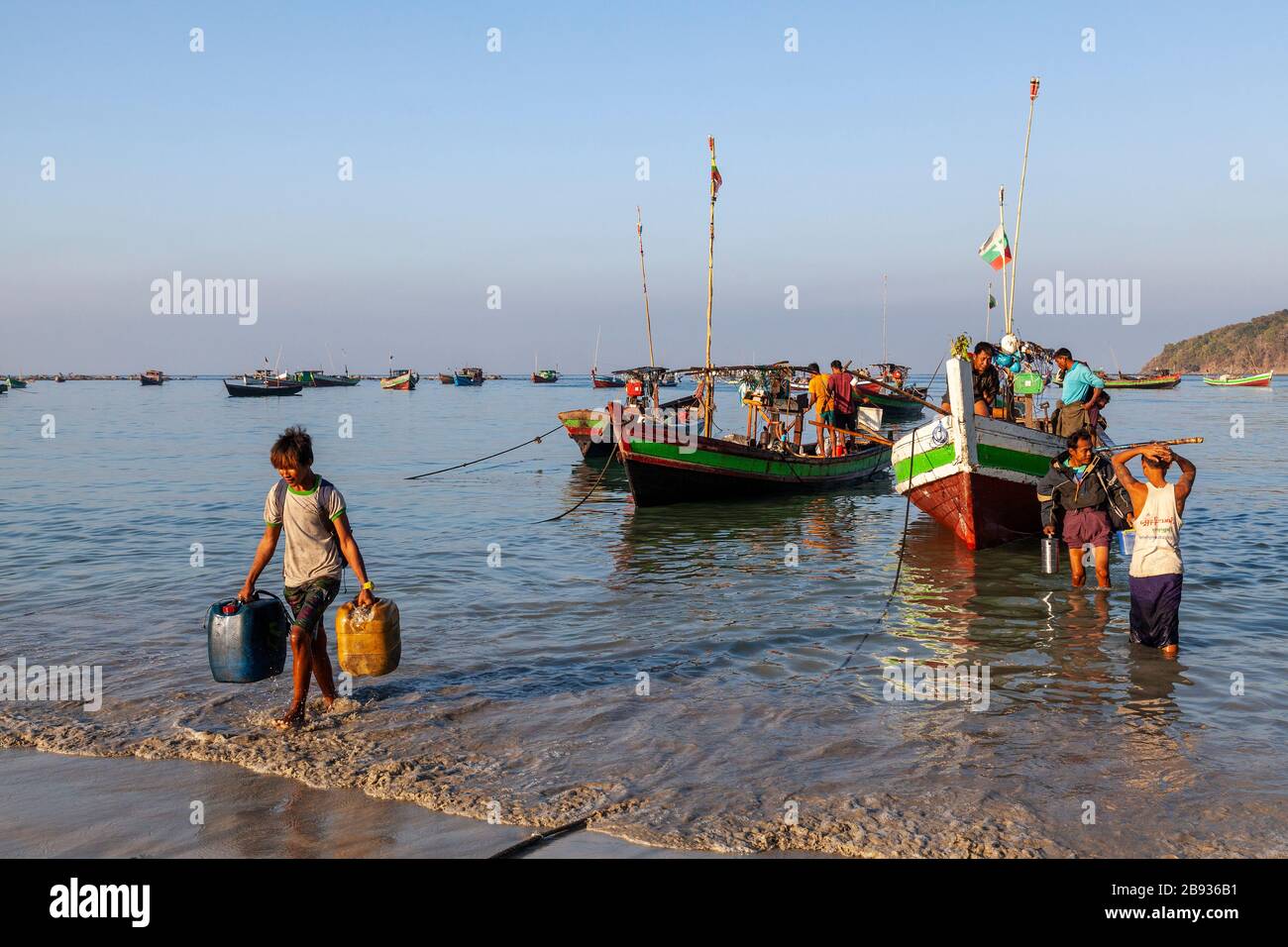 The morning catch has arrived at Ngapali fishing village. The fish is ...