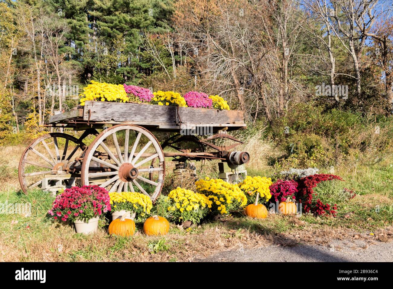 A Beautiful Fall Afternoon in Massachusetts Stock Photo - Alamy