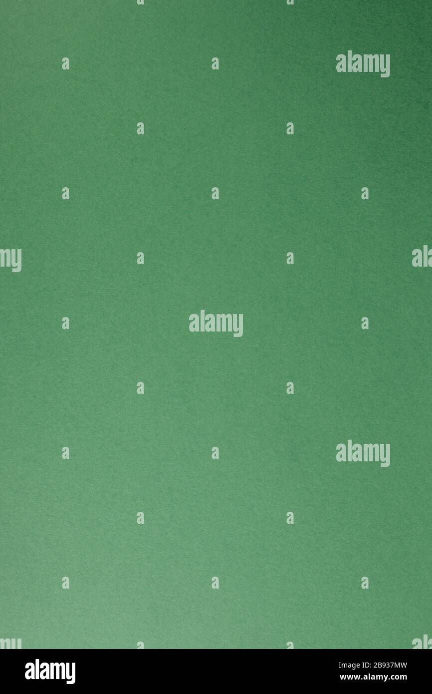 Light green color of paper background, texture, copy space, vertical ...