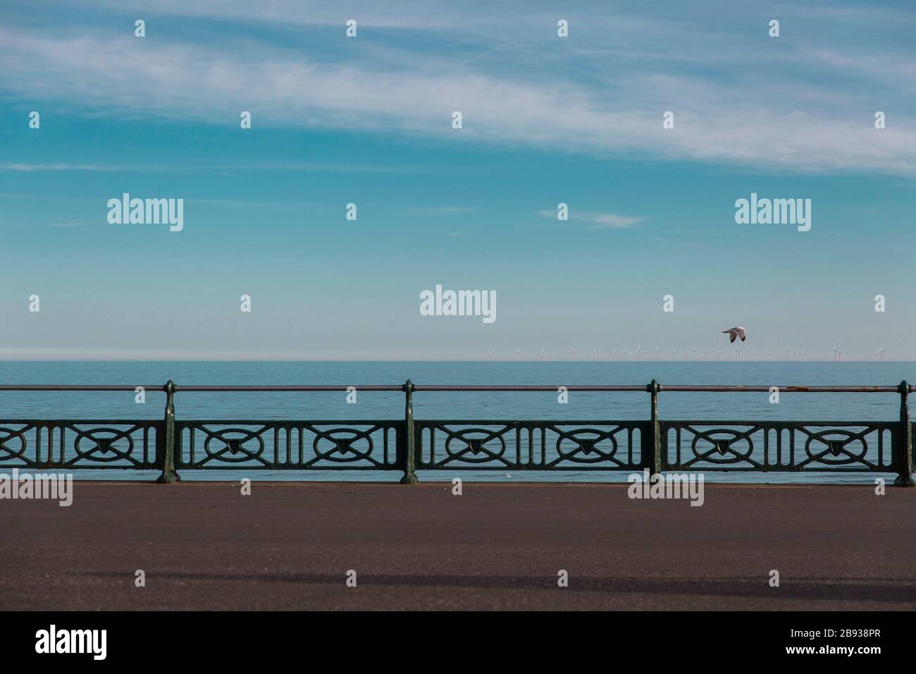 Bird Flying Over the Horizon By the Seafront - Brighton Stock Photo - Alamy