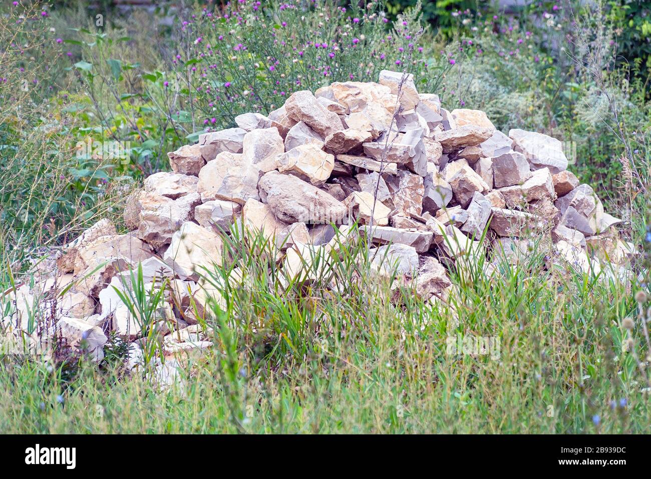 A pile of gray stones in the green grass Stock Photo - Alamy