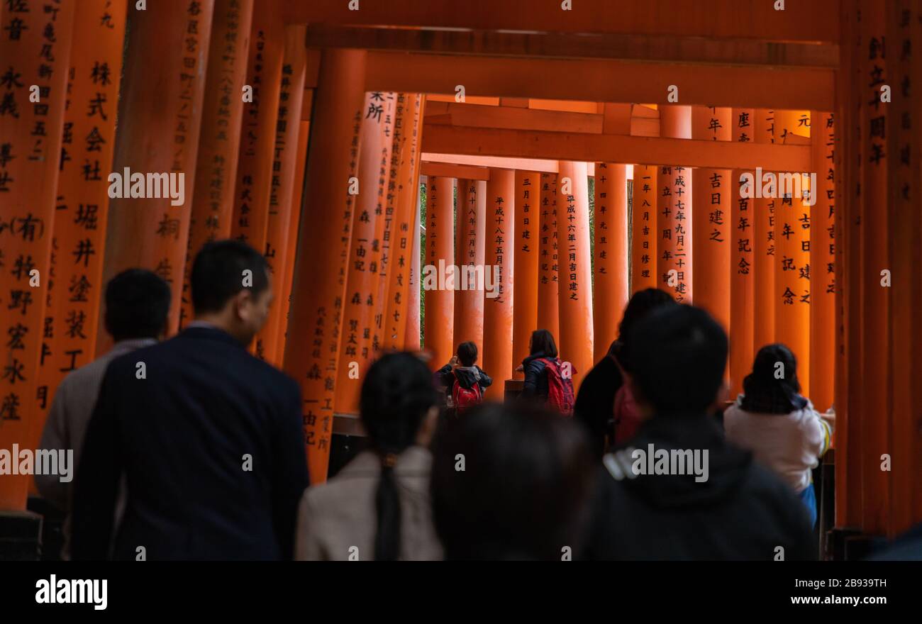 A picture of people going through the Torii gates at the Fushimi Inari ...