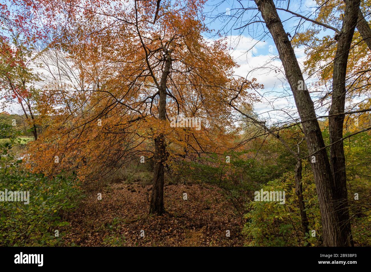 A Beautiful Fall Afternoon in Massachusetts Stock Photo - Alamy