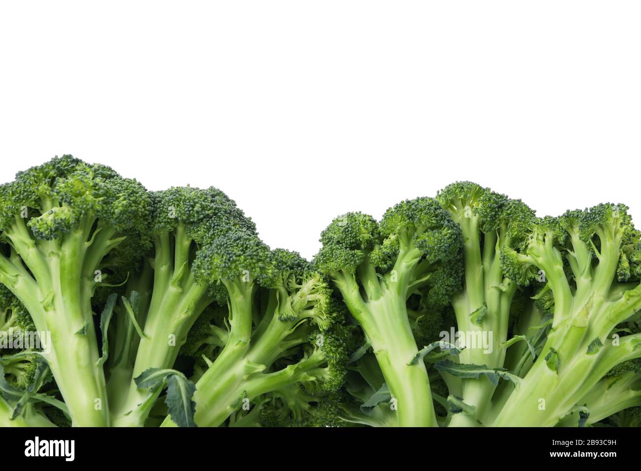Frame of broccoli isolated on white background. Fresh vegetable Stock ...