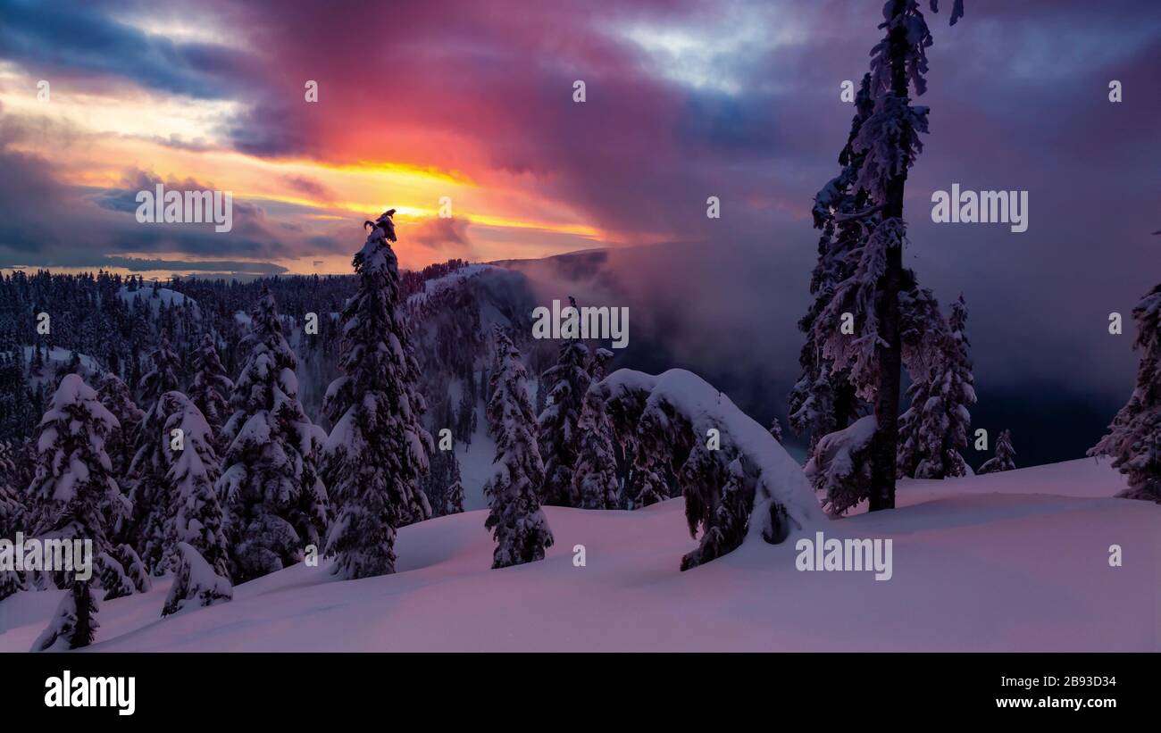 Cinemagraph continuous loop animation beautiful hi-res stock ...