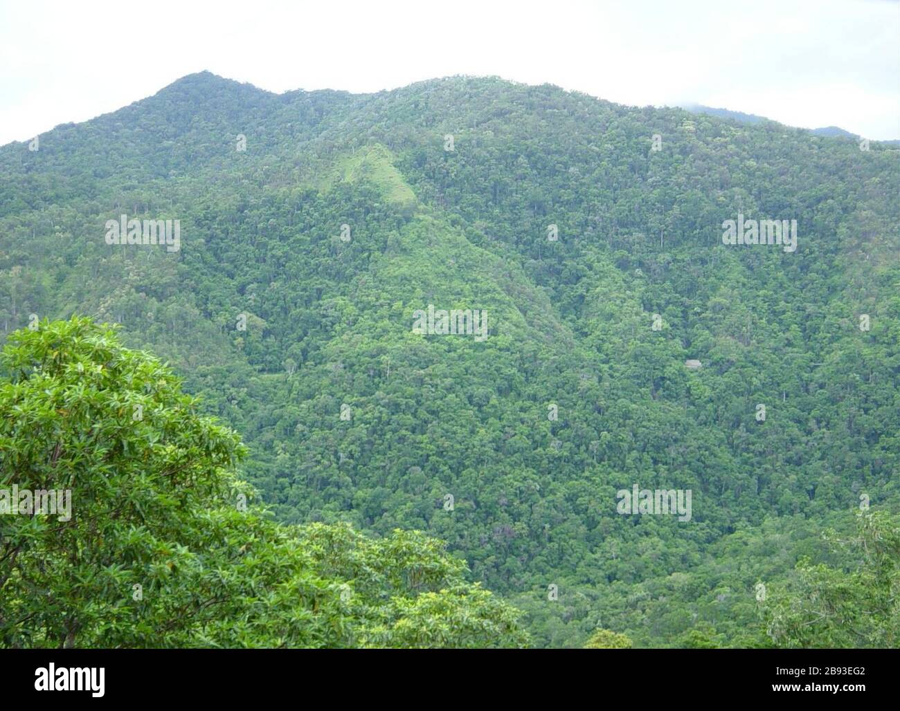 Undiscovered species hi-res stock photography and images - Alamy