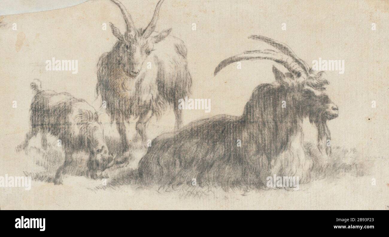 17th Century Drawings High Resolution Stock Photography and Images - Alamy