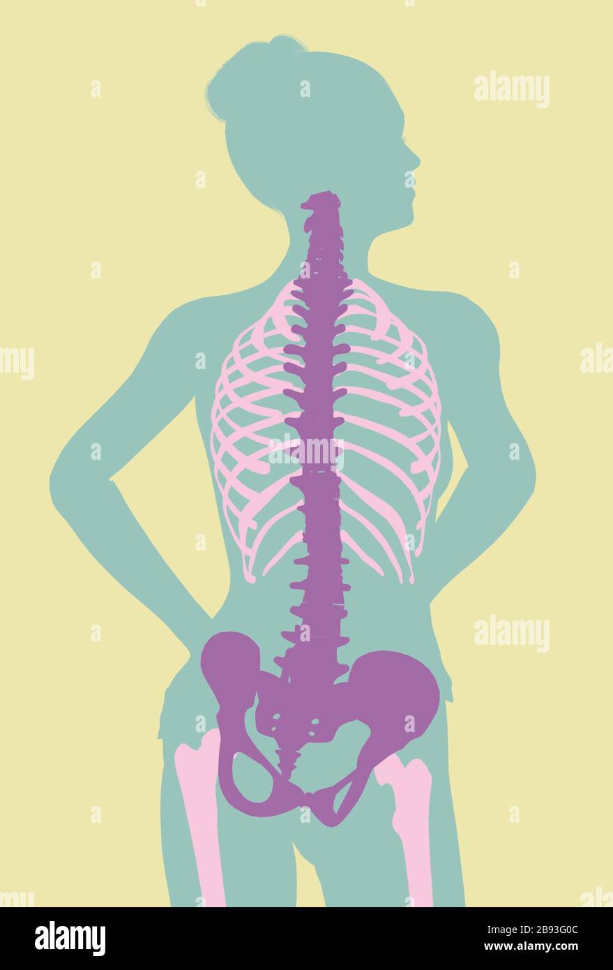 Lumbar spine anatomy female hi-res stock photography and images - Alamy