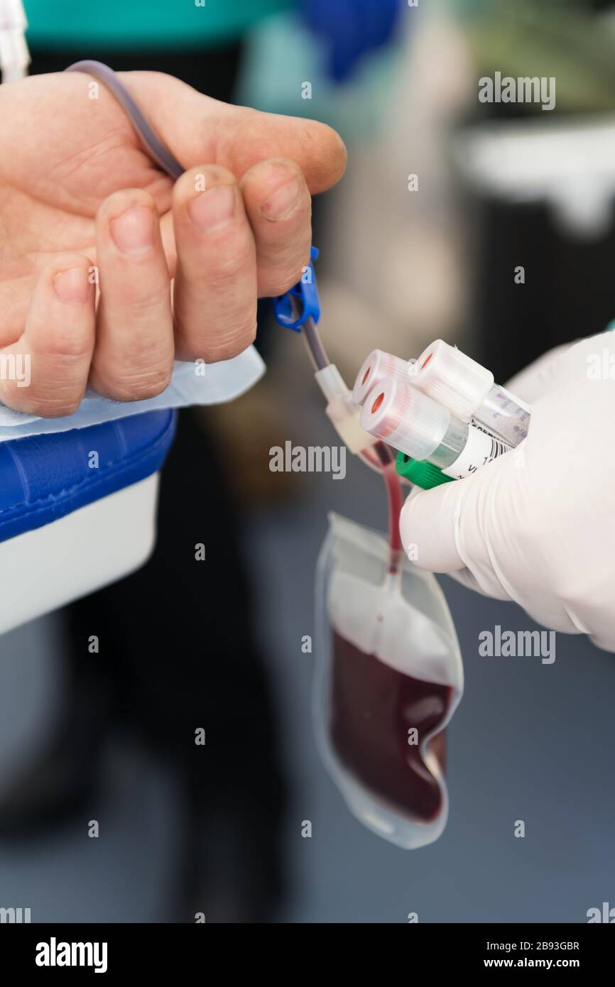 The hand of a man who donates blood. Male donor gives blood in a mobile ...
