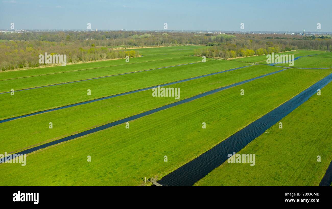 Countryside with water canal in the Netherlands Stock Photo - Alamy