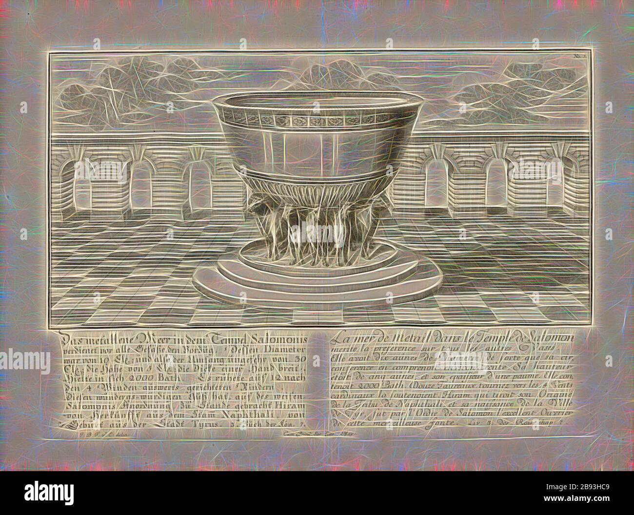 Salomonis High Resolution Stock Photography and Images - Alamy