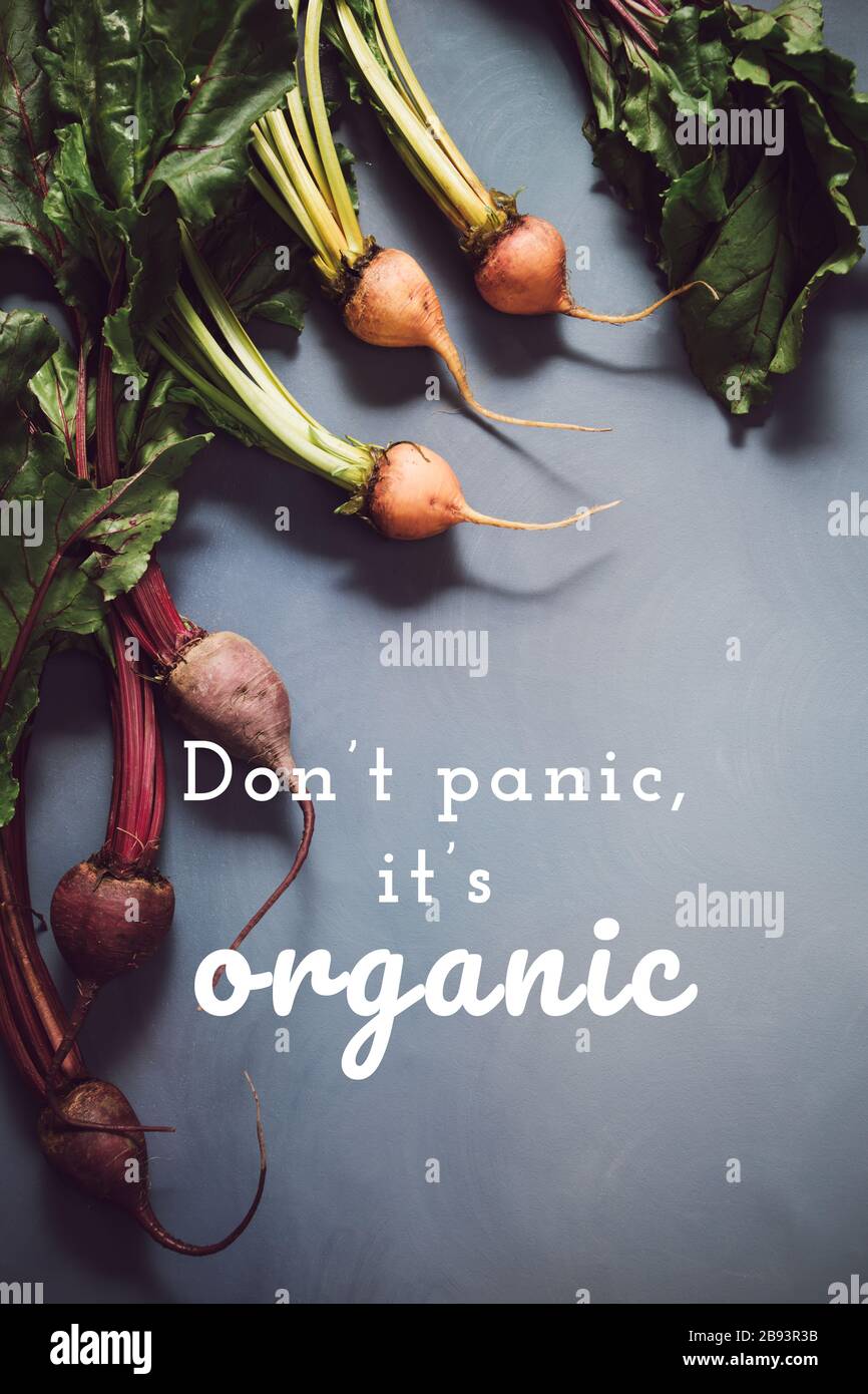 Mix of red and gold beets on grey background with Organic Produce ...
